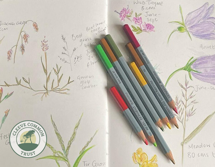 Cleeve Common - Nature Journaling in Wardens' Wood - Winchcombe; a ...
